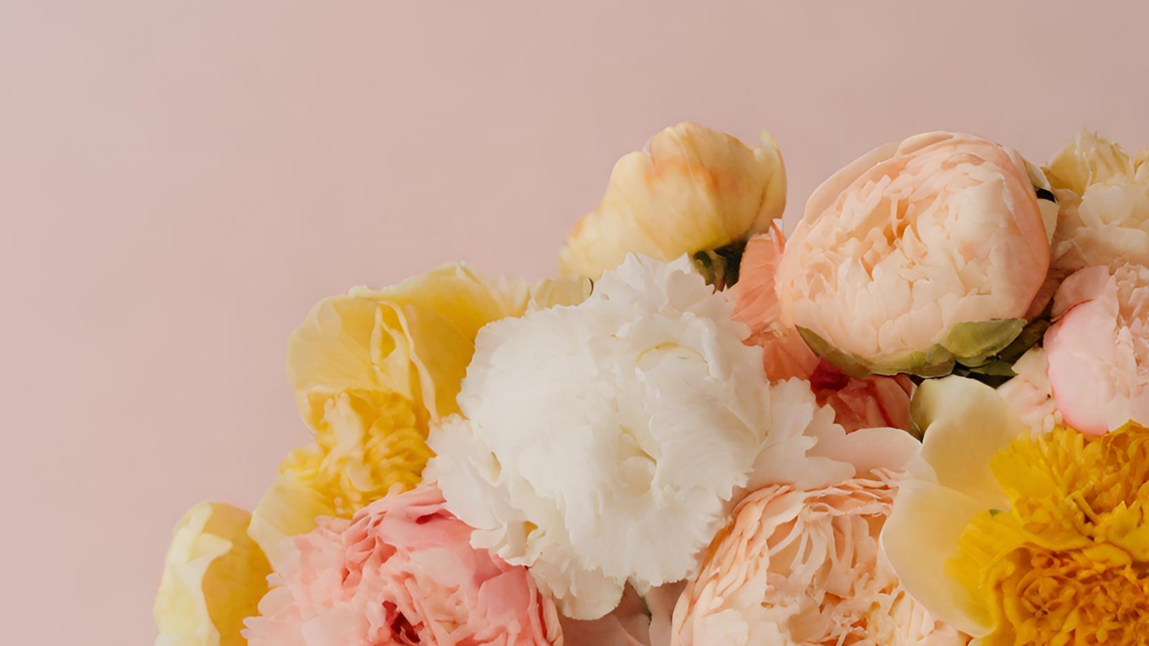 Bliss & Bloom Studio | Luxury Florist | Flower Delivery in Perth ...